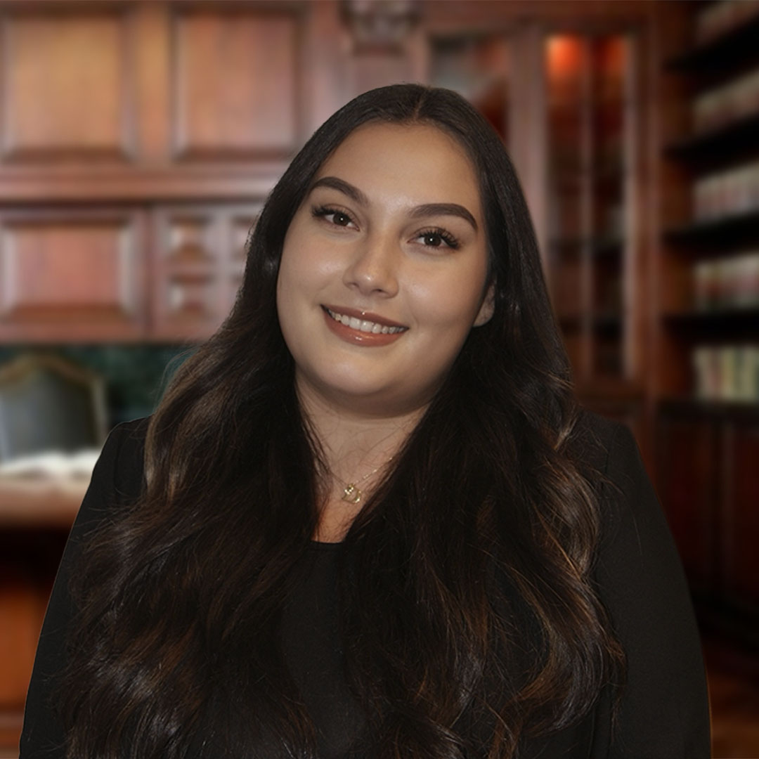 Meet Our Attorneys at Max Alavi Attorney at Law, APC