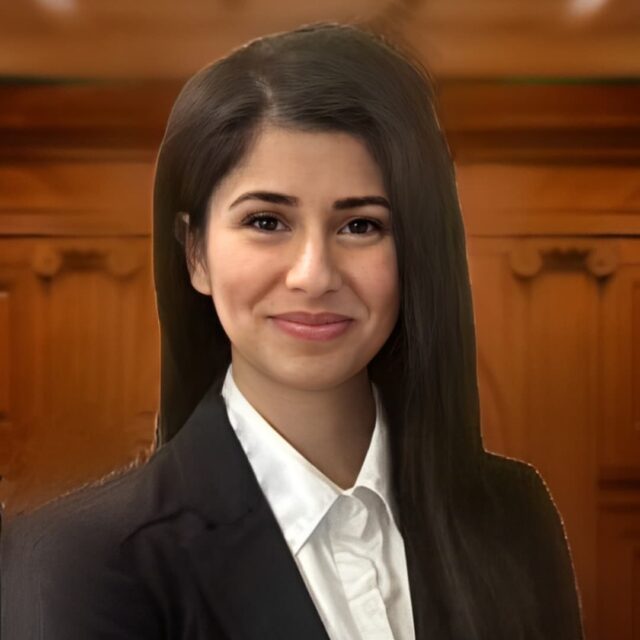 Meet Our Attorneys at Max Alavi Attorney at Law, APC